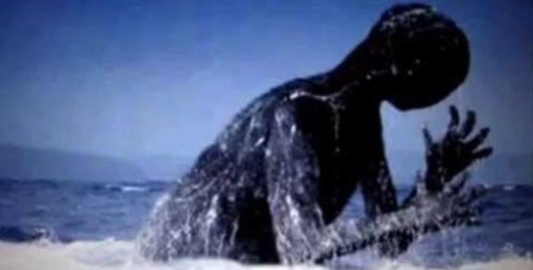 Ningen: A Humanoid Monster Hiding in the Antarctic