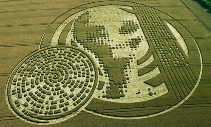 Crop Circle Language - Russian Cosmonaut Backed By 50 Other Scientists ... Crop Circle Language - Russian Cosmonaut Backed By 50 Other Scientists ...