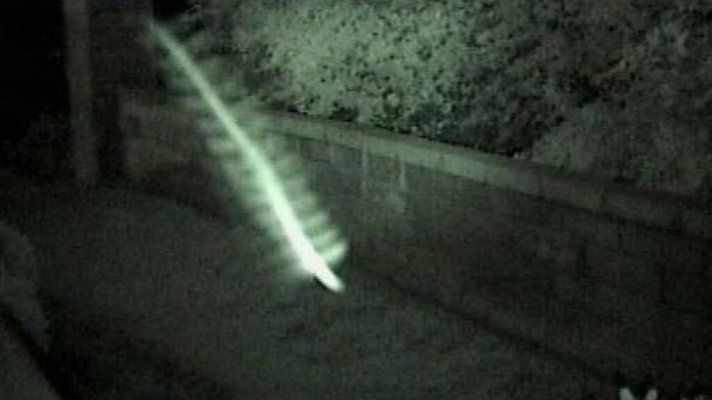 "Skyfish": Spies, UFOs or ancient insects?