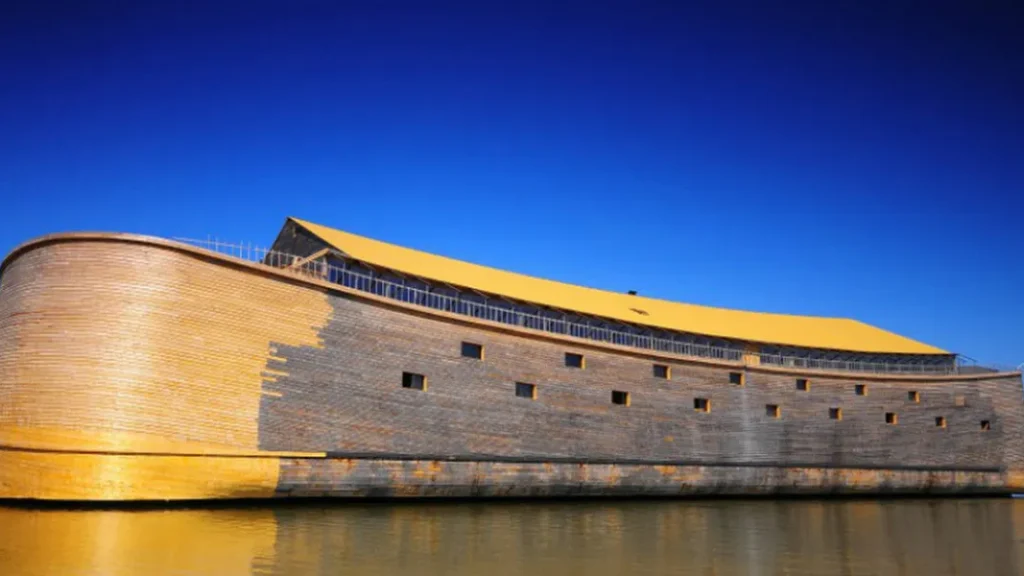 Ready to present evidence? Wooden fossils of possible remains of Noah's ...