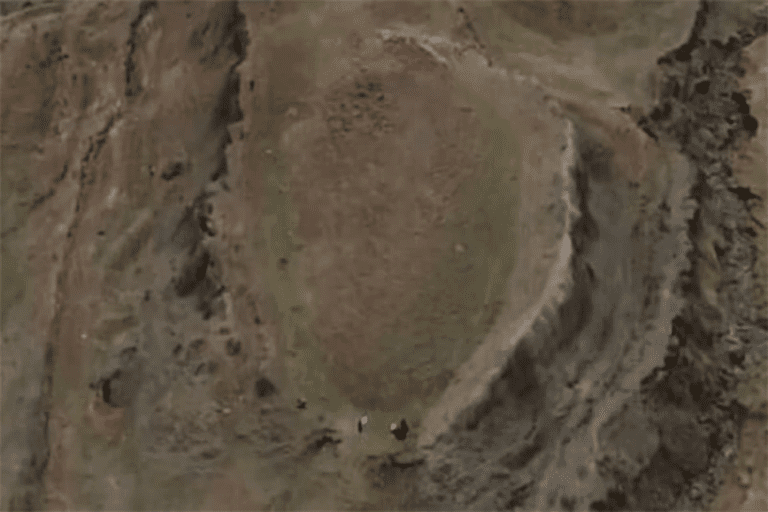 Ready to present evidence? Wooden fossils of possible remains of Noah's ...