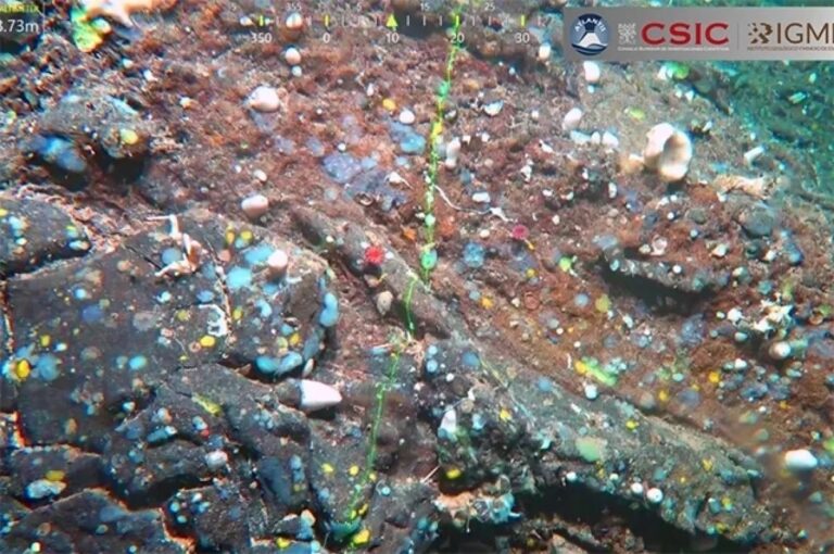 Scientists have announced a monumental discovery: an underwater robot ...