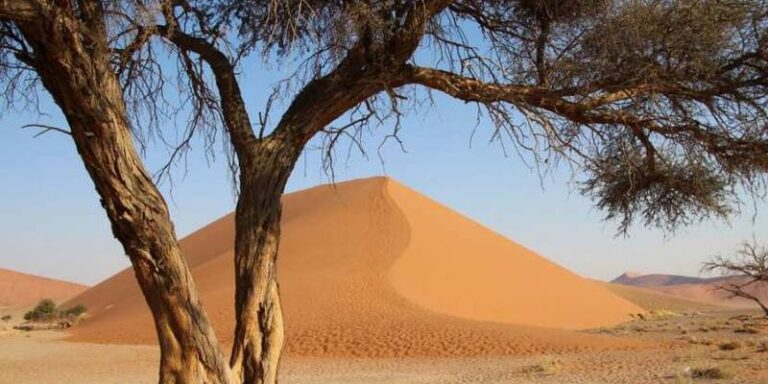 Crashed UFO or alien artifact? The 1989 Kalahari desert mystery meets Southern Africa’s gravity ...